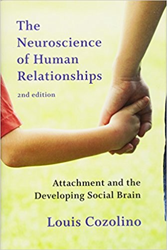 The Neuroscience of Human Relationships, Attachment and the Developing ...