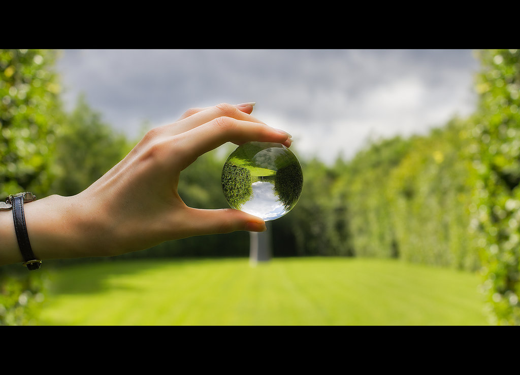 Scientists Explore How the Brain Integrates Sensory Information to ...