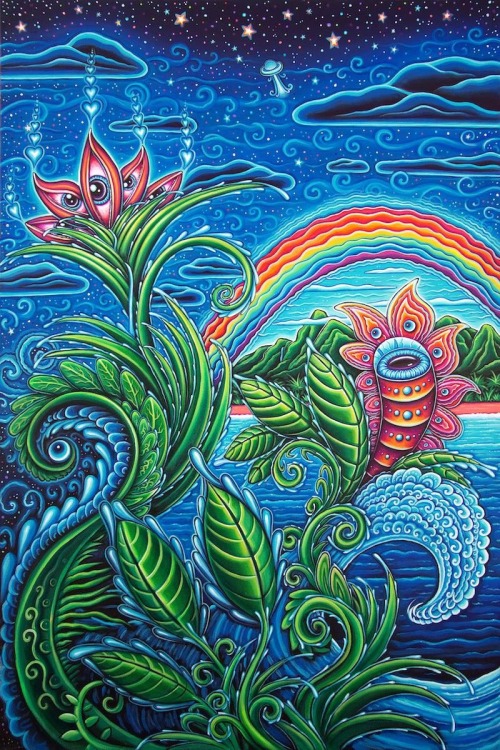Psychedelics and the Potential of Plant Medicine – breathwork-science