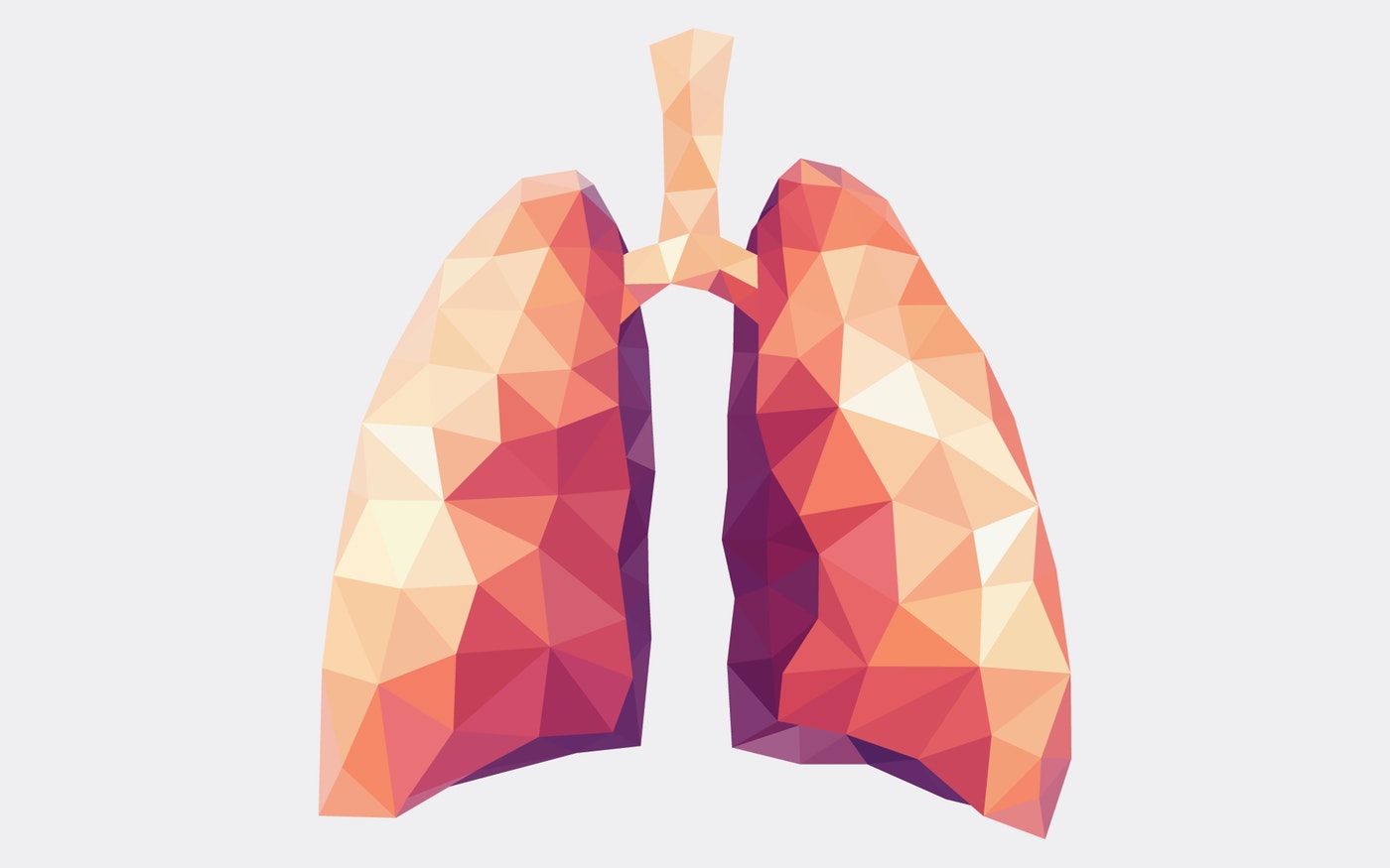 How Your Breath Controls Your Mood and Attention – breathwork-science