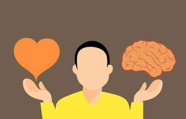 Why Do We Like What We Like? The Neuroscience Behind the Objects That ...