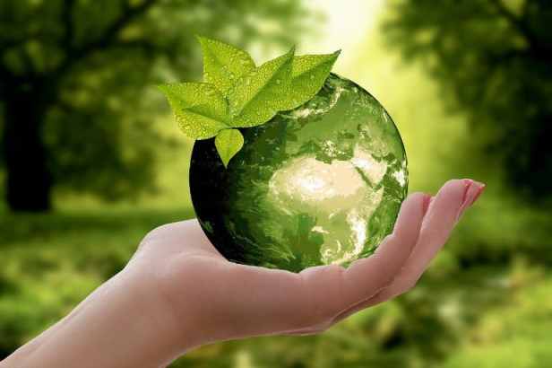 Childhood Trauma Linked to Civic Environmental Engagement and Green ...