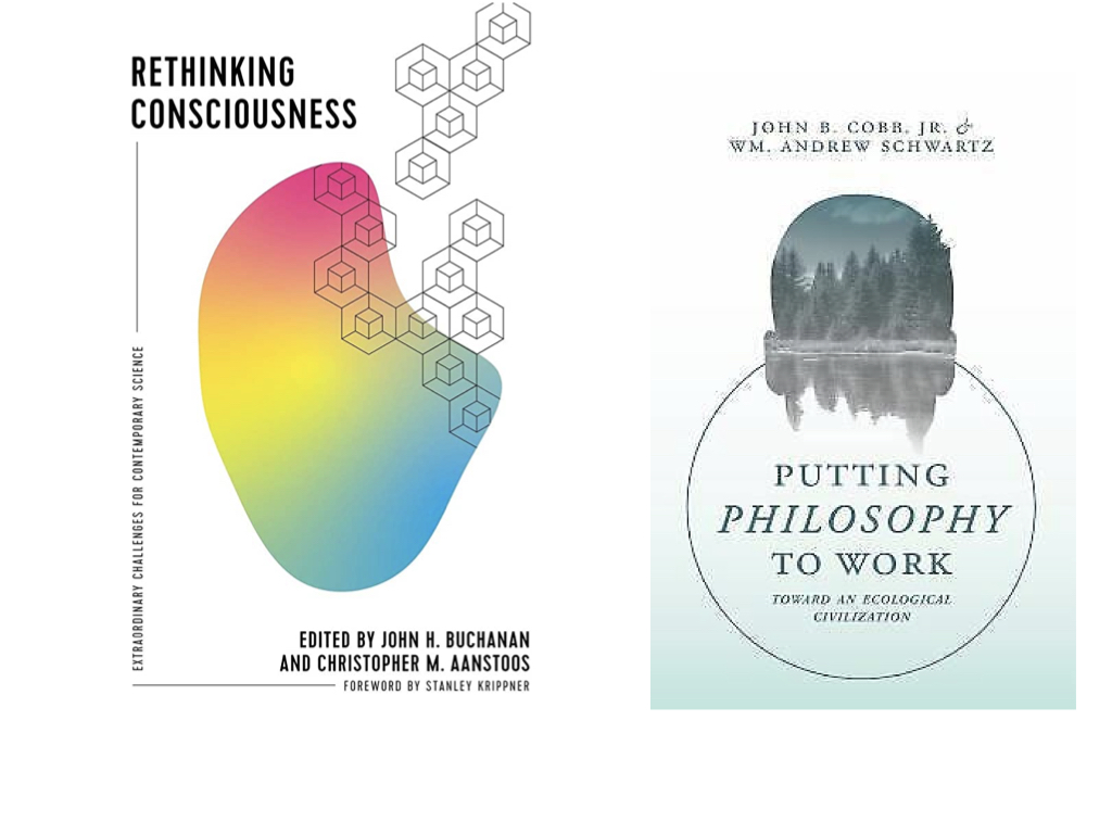 RETHINKING CONSCIOUSNESS & PUTTING PHILOSOPHY TO WORK – breathwork-science