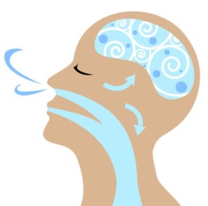 High ventilation breathwork practices: An overview of their effects ...