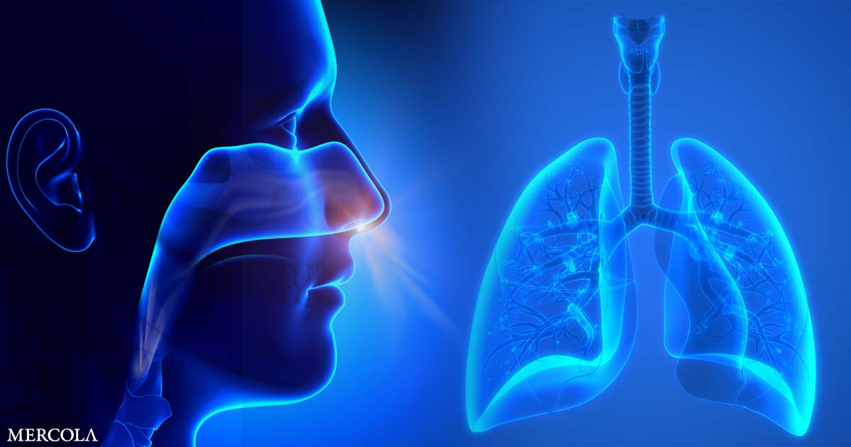 On Breath and Breathing – breathwork-science